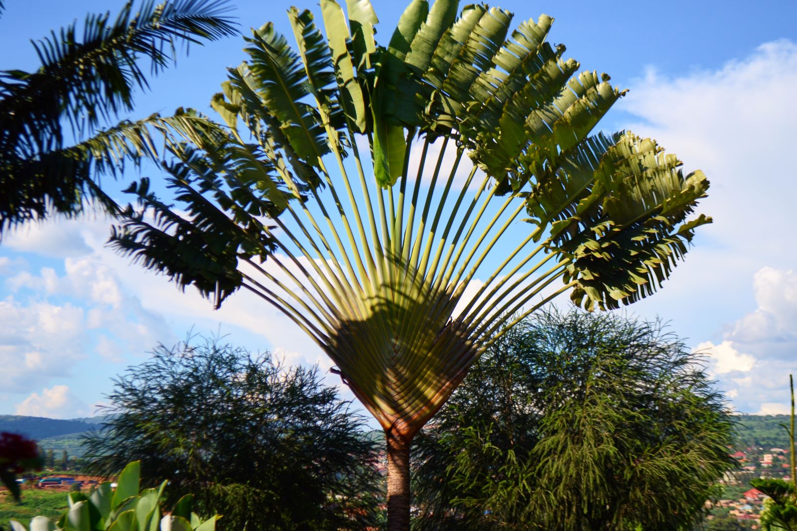 Umugano Villa - Your Home Away from Home in Kigali